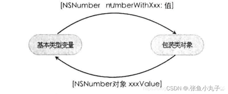 iOS之包装类、description方法、==或isEqual_ios description-CSDN博客