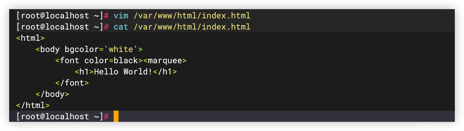 Linux系统Web服务器系统搭建_linux搭建web服务器-CSDN博客