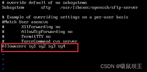 SSH服务与VNC服务_vnc和ssh-CSDN博客