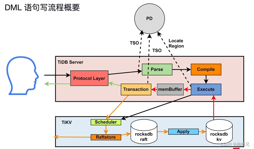 Pcta 认证考试学习笔记分享——《lesson 05—tidb 数据库 Sql 执行流程》pcta数据库 Csdn博客