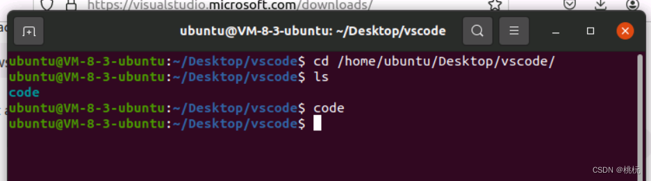 Ubuntu中下载Vscode_ubuntu下载vscode-CSDN博客