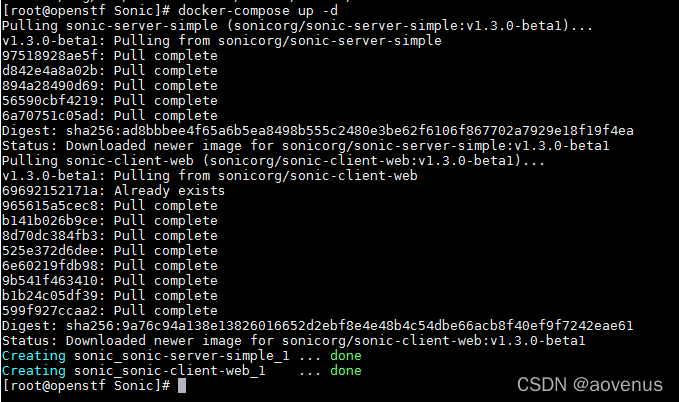 一站式开源分布式集群云真机测试平台Sonic——基于Docker方式部署sonic前后端（体验版）_sonic docker-CSDN博客