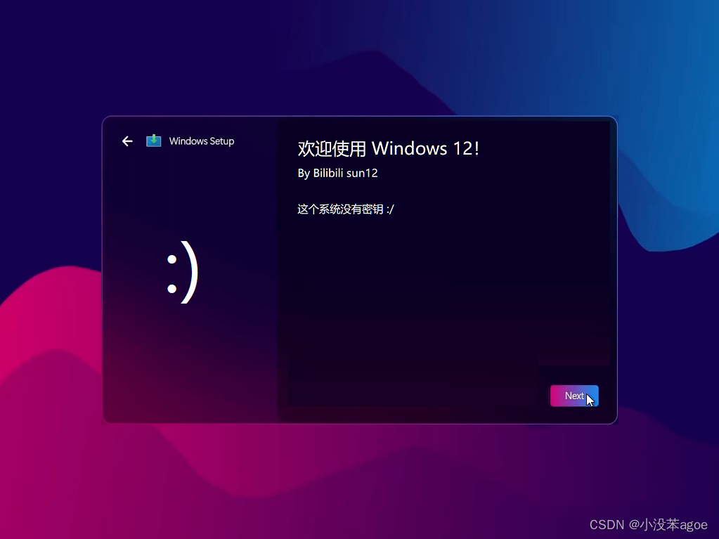 VMware Windows 12 概念版安装教程_win12概念版-CSDN博客