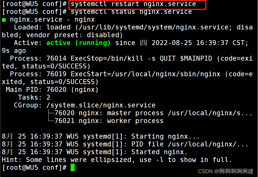 Nginx监控模块安装与配置-CSDN博客
