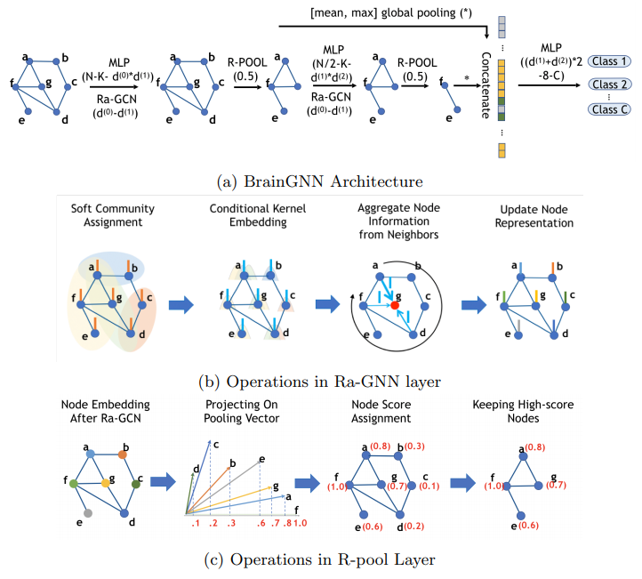 图神经网络 | BrainGNN: 用于功能磁共振成像分析的可解释性脑图神经网络_braingnn: interpretable brain graph neural network-CSDN博客