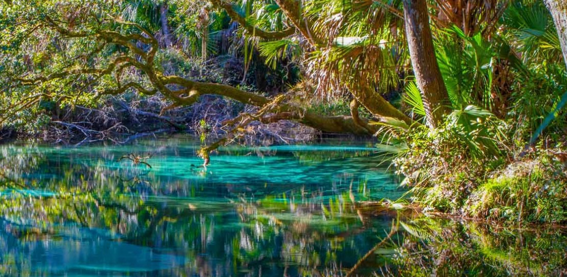 基于CSDN完成TEASOFT的MOOC编辑整理_teasoft软件的用途-CSDN博客