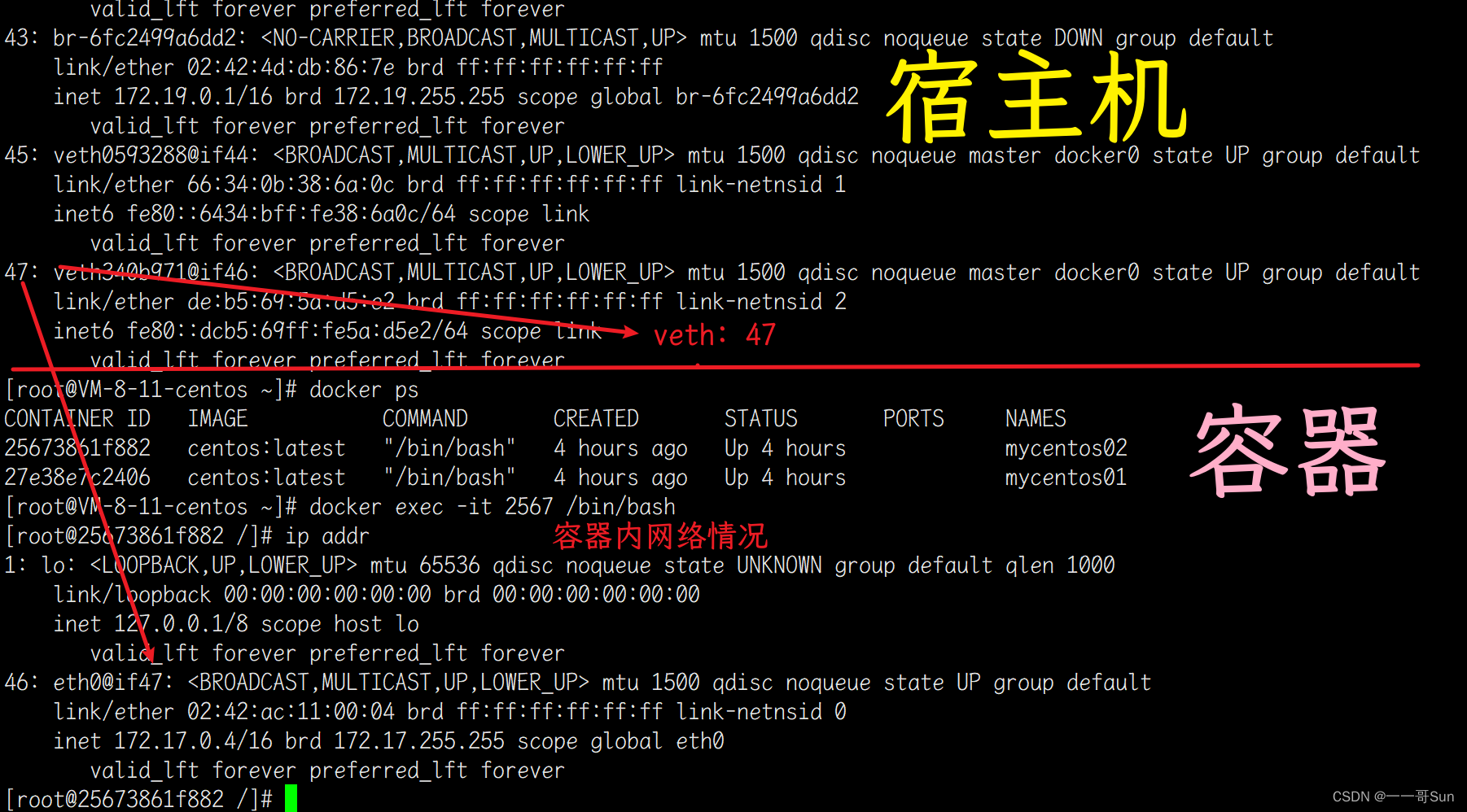 如何配置Docker网络的Bridge模式？看这里_thunderbolt bridge docker-CSDN博客