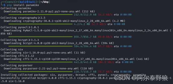 黑帽python第二版（black Hat Python 2nd Edition）读书笔记 之 第二章 网络工程基础（3）ssh与ssh隧道python黑帽子 黑客与渗透测试编程之道 Ssh