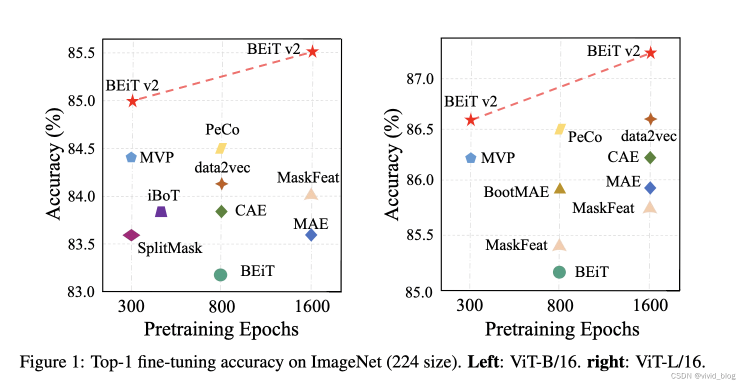 【多模态】BEiT v2_beit2-CSDN博客