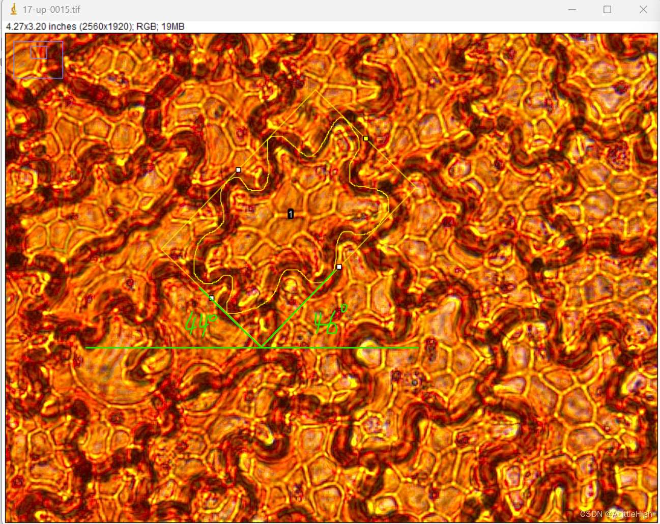 ImageJ实践——拟合矩形选区探究（bounding rectangle），左侧优先法则_矩形拟合-CSDN博客