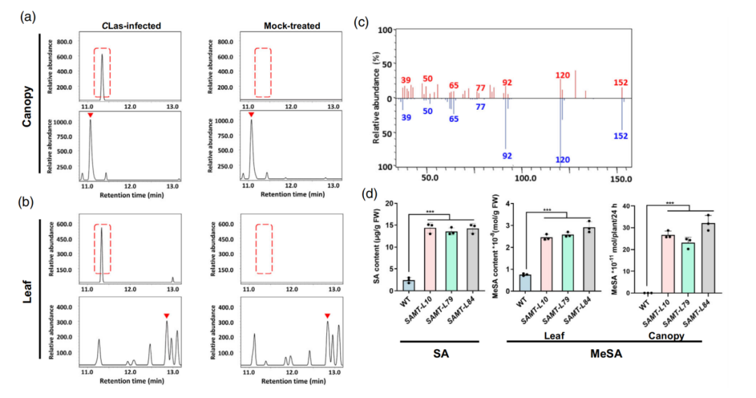 转录组力作！小RNA与mRNA相互作用分析调控免疫系统_mrna互作的microrna预测-CSDN博客