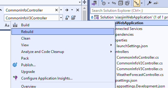 .net8系列-03图文并茂手把手教你配置Swagger以及实现接口版本控制_netcore mvc swagger-CSDN博客