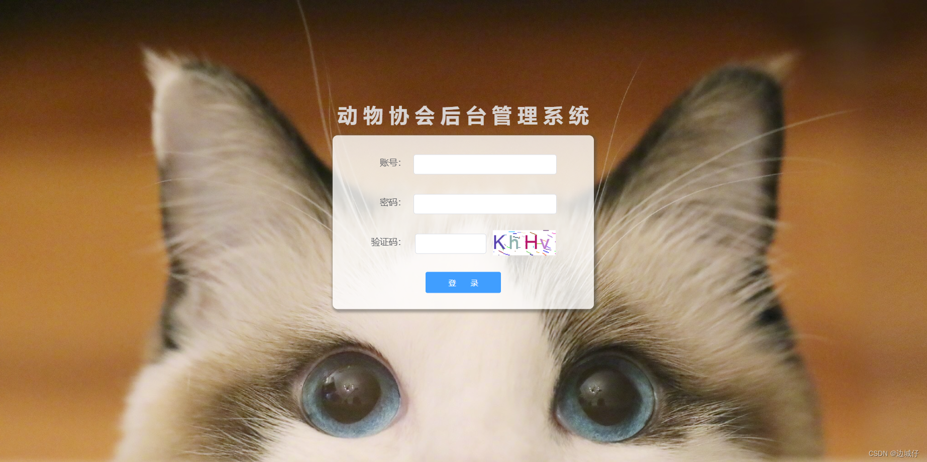 Hutool图形验证码的使用——Spring和Vue前后端交互实现验证码登录_hutool 验证码-CSDN博客
