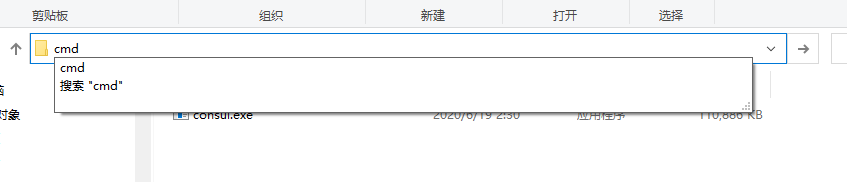 windows安装consul与启动的两种方法_consul agent -dev-CSDN博客