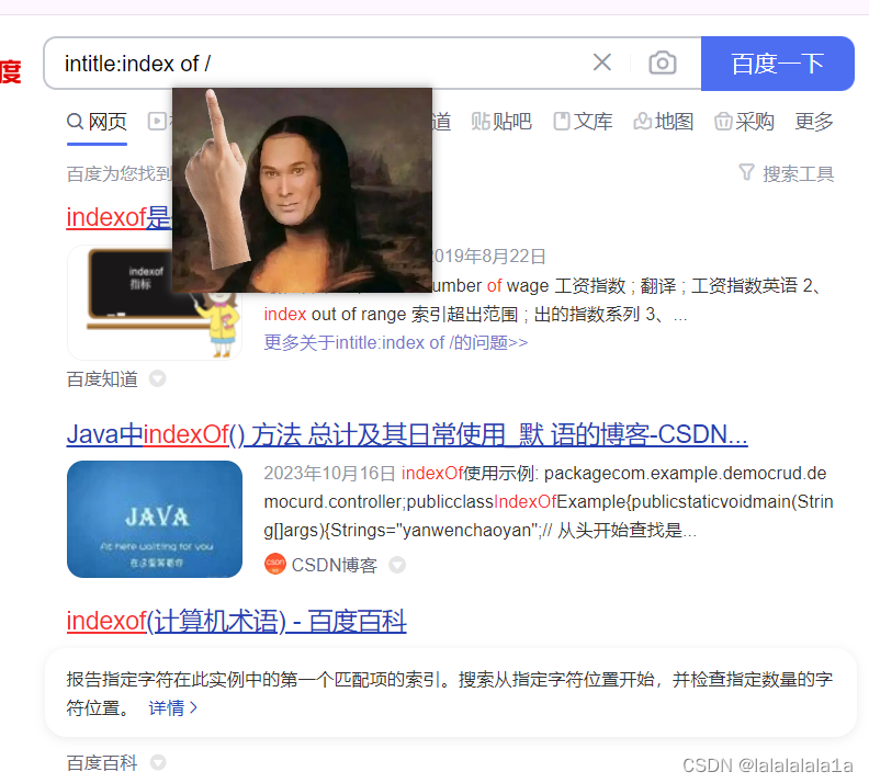 演示自定的Google hacking语法-CSDN博客