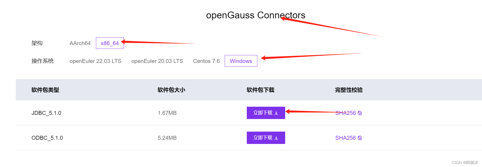 【通过Data Studio、DBeaver连接openGauss】---快速入门-CSDN博客