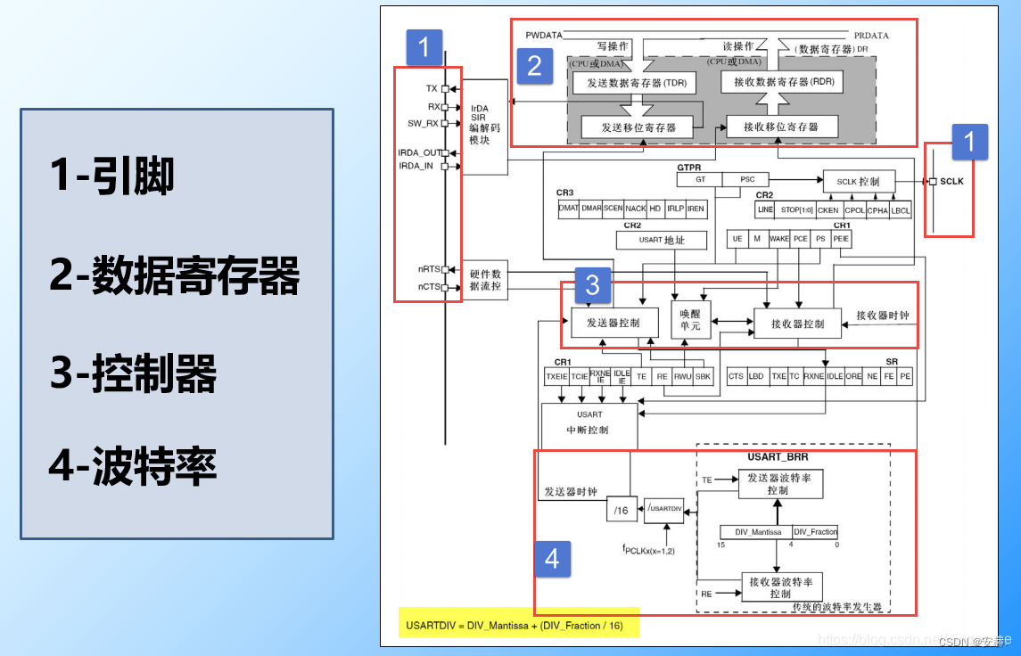 STM32—串口协议、串口外设_usbdm和usbdp-CSDN博客