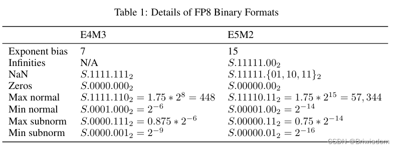 从浮点数定义到FP8: AI模型中不同的数据类型-CSDN博客