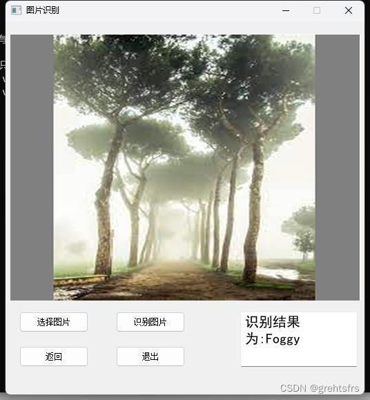 0027期基于python深度学习的天气状况识别-含数据集_视频格式天气变化 深度学习数据集-CSDN博客