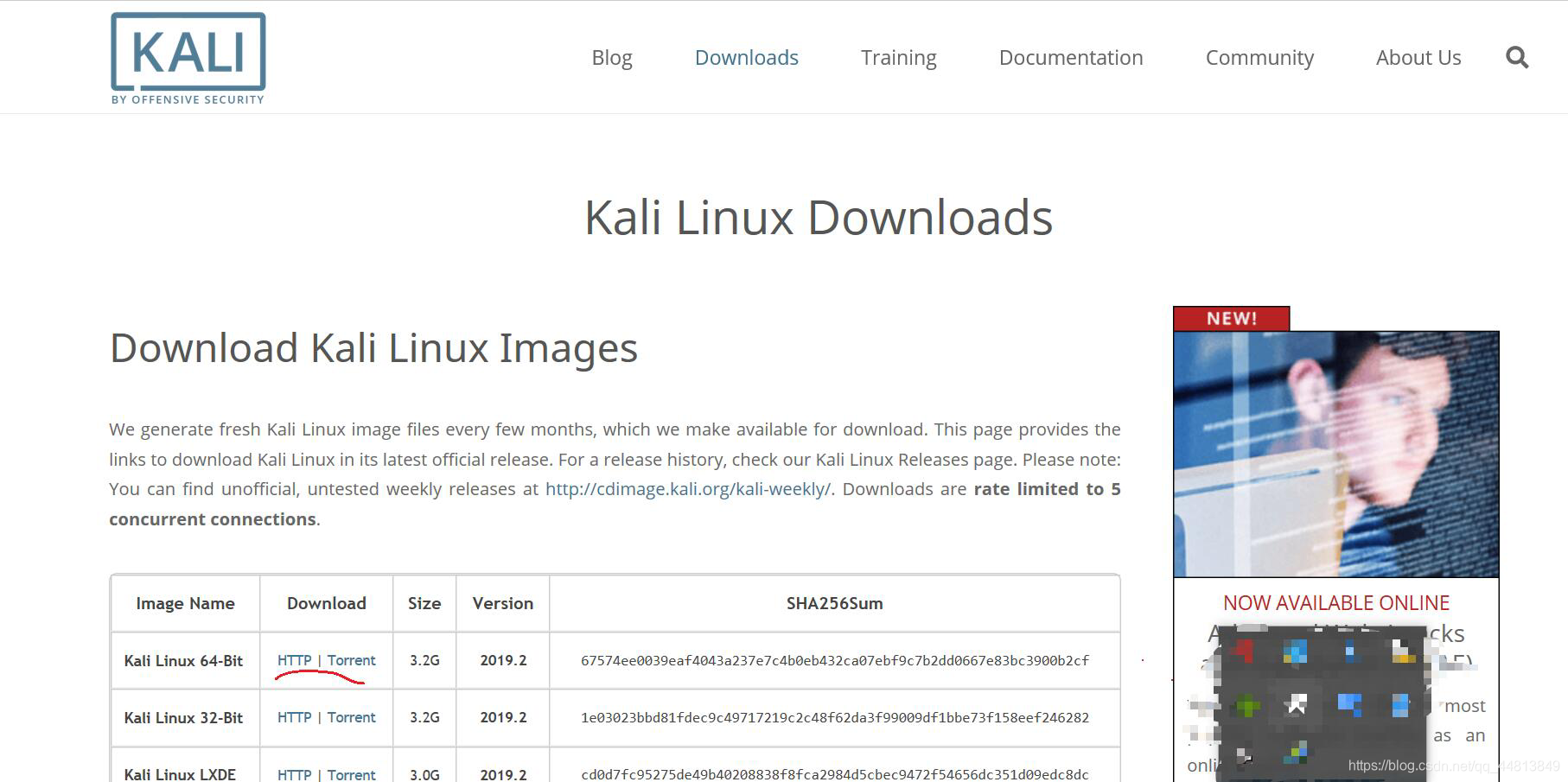 Kali Linux安装和nmap运行_kali怎么装namp-CSDN博客