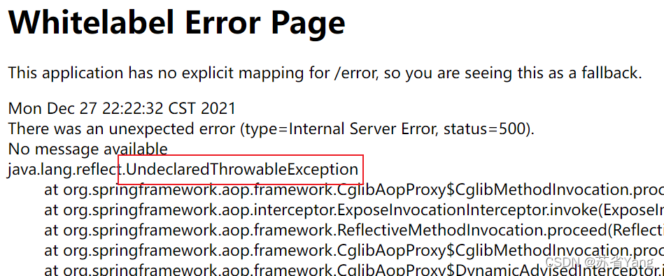关于Sentinel自定义限流处理类或方法时遇到的问题汇总java.lang.reflect ...