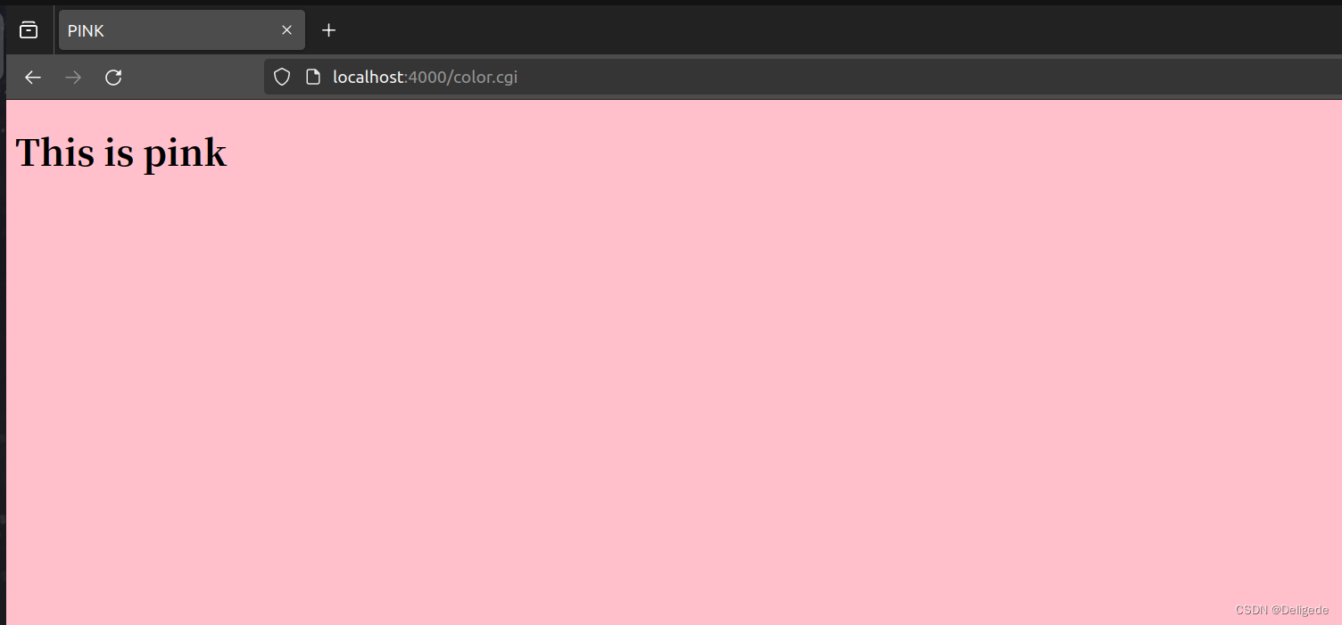 Github经典HTTP服务器项目Tinyhttpd运行方法_服务器 运行github-CSDN博客