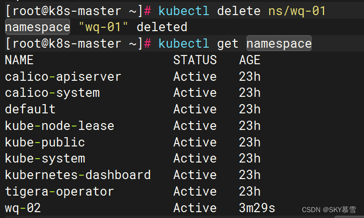 k8s-pod基本管理(namespace,pod增删查)_查看pod命令-CSDN博客