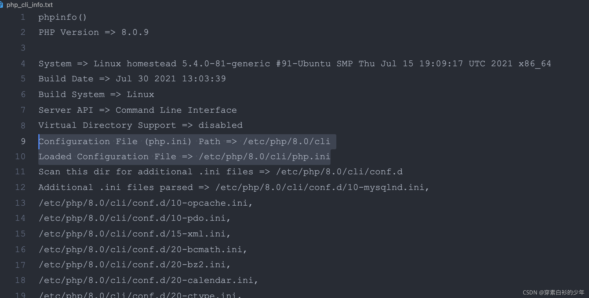 PHP CLI - 切换版本-CSDN博客