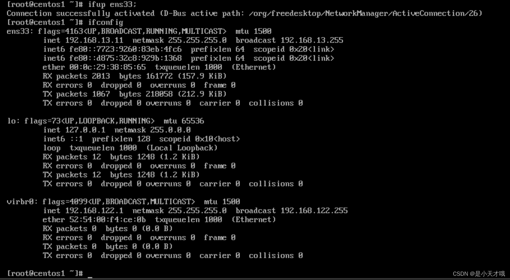 linux服务-dhcp超级作用域_linuxdhcp超级作用域-CSDN博客