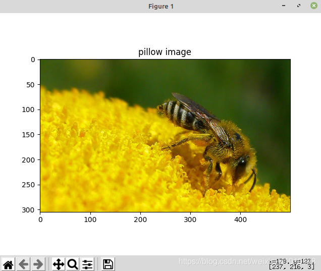 opencv、matplotlib、pillow和pytorch读取数据的通道顺序_cv2 channel读取顺序-CSDN博客