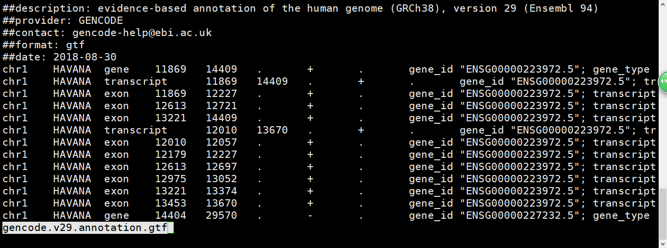 如何获得基因名与基因类型的对应关系——下载GTF文件 基因注释_gencode.v29.annotation.gtf-CSDN博客