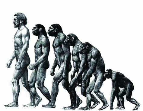 遗传算法（Genetic Algorithm）-CSDN博客