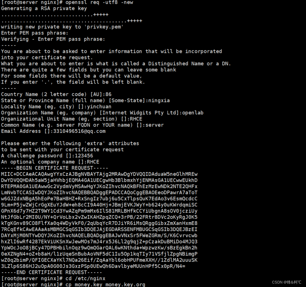 构建OpenLab网站：步骤指南与安全设置,-CSDN博客