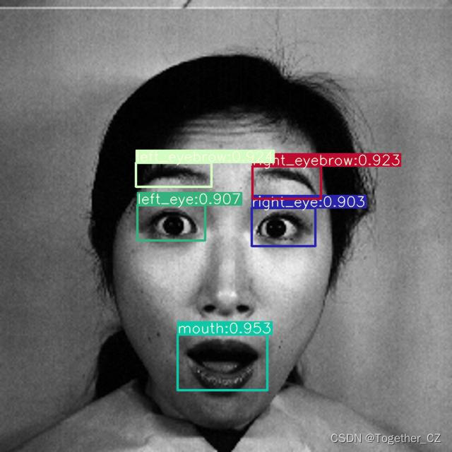 探索实践面部五官检测，基于YOLOv5全系列【n/s/m/l/x】参数模型开发构建人脸面部场景下五官检测识别系统_yolov5 人脸检测-CSDN博客