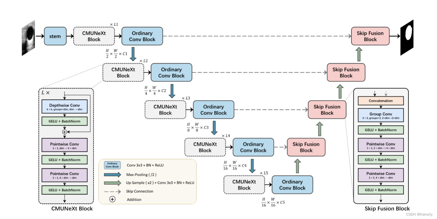 论文笔记CMUNeXt: An Efficient Medical Image Segmentation Network based on ...
