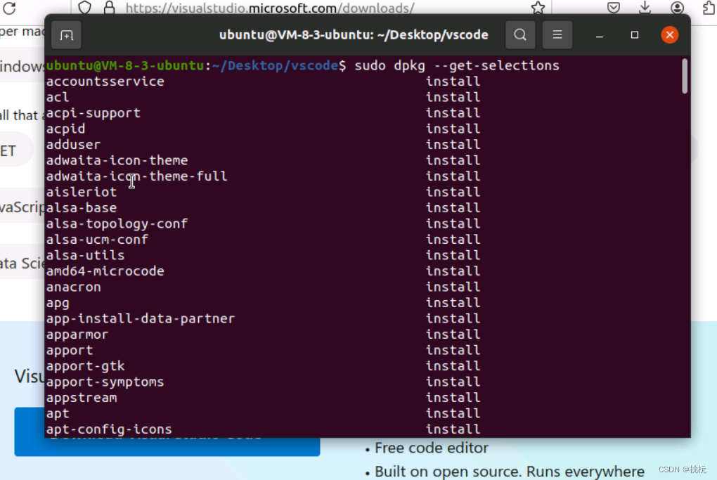Ubuntu中下载Vscode_ubuntu下载vscode-CSDN博客