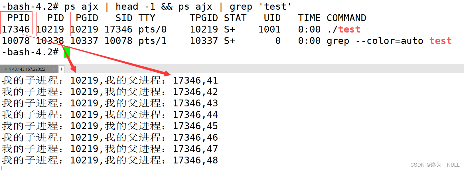 面试经常问的Linux进程到底是什么呢？1W字从0到1详解进程的所有细节！_面试需要了解linux进程吗-CSDN博客