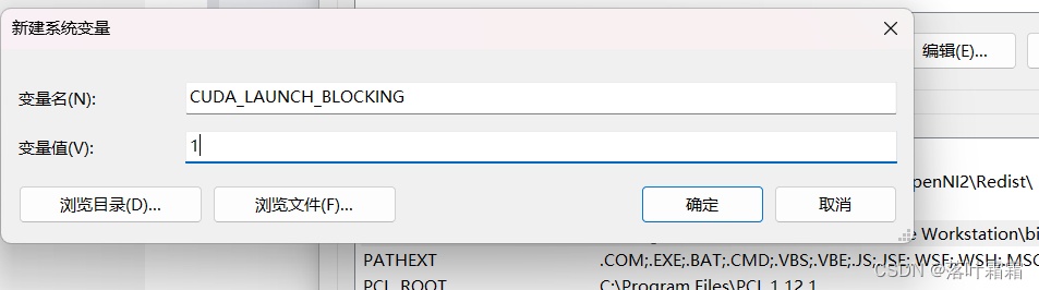 【yolo系列：运行报错RuntimeError: CUDA error: an illegal memory access was encountered CUDA kernel ...