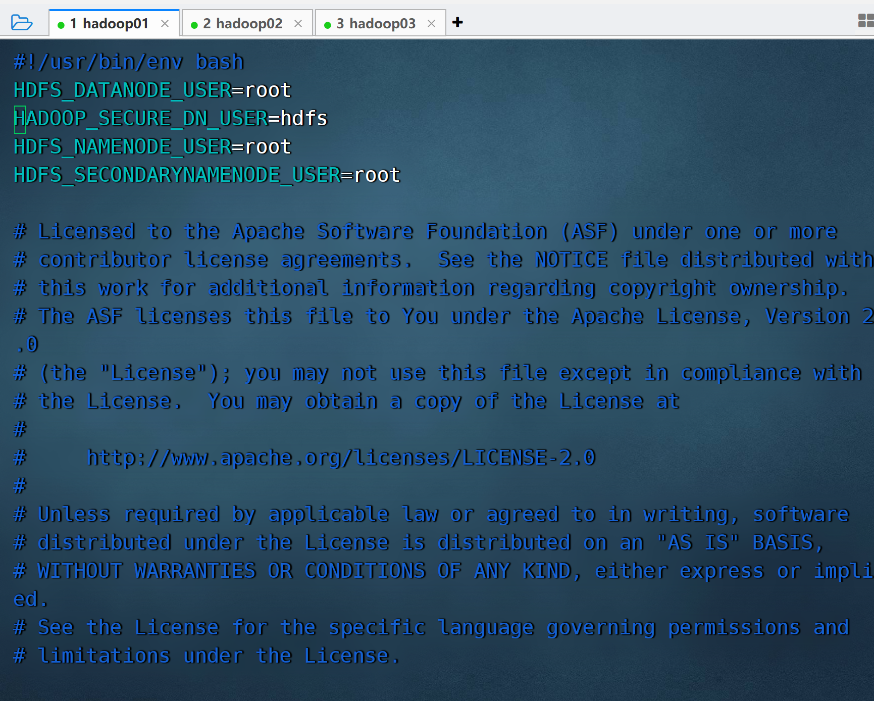 【无标题】拷贝Hadoop所有文件到其他节点_将hadoop01上的profile环境变量配置传输到hadoop02的scp命令-CSDN博客