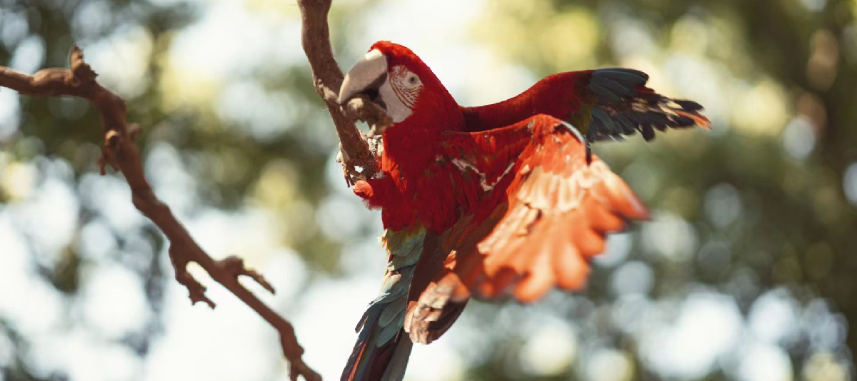 OpenPPL PPQ量化(3)：量化计算图加载与预处理源码剖析-CSDN专栏