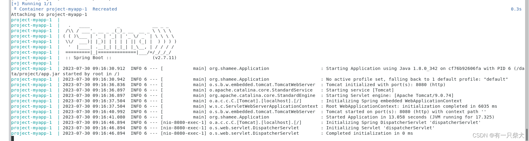 09. Docker Compose_docker-compose2.1-CSDN博客