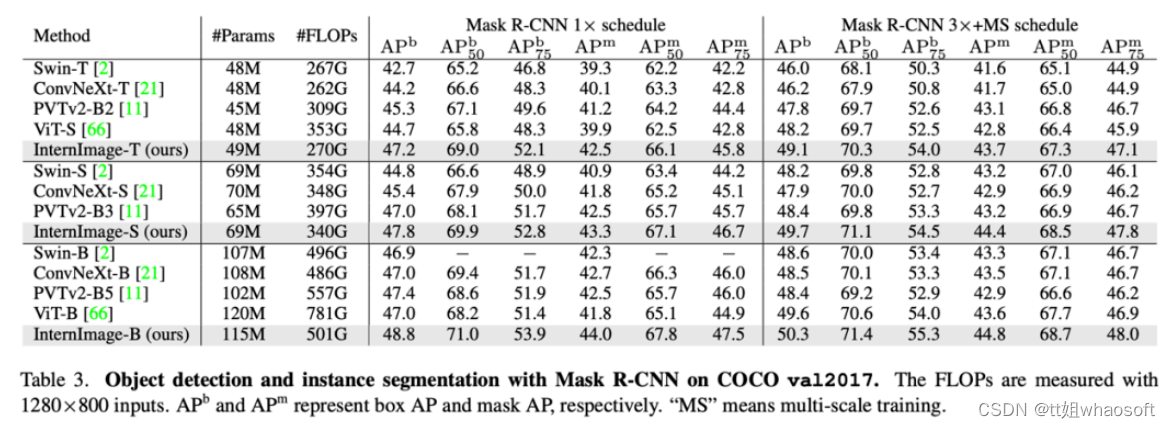 InternImage-CSDN博客
