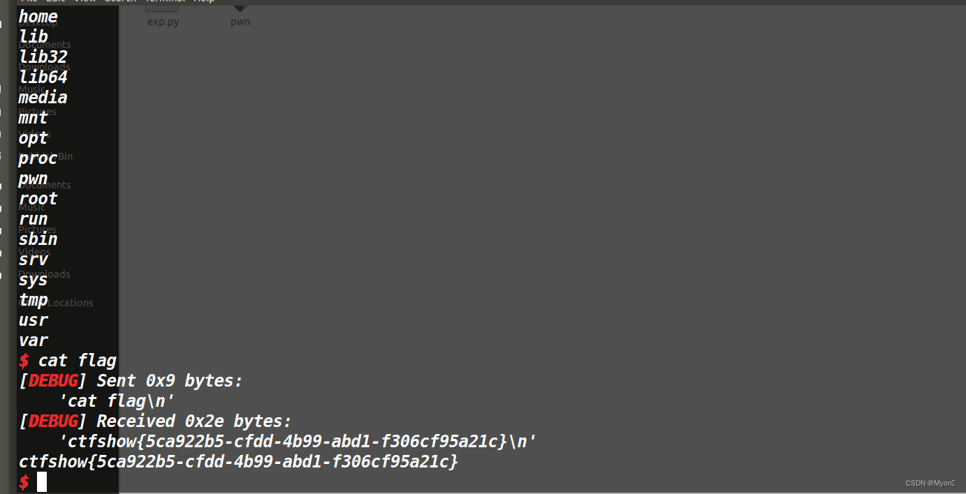 CTFshow-PWN-栈溢出（pwn44）_ctfshow pwn44-CSDN博客