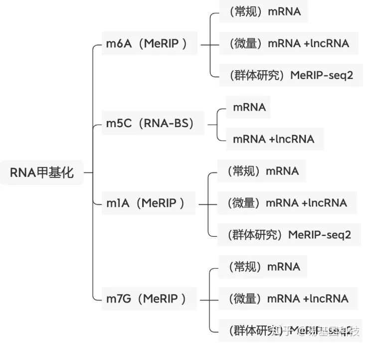 易基因：MeRIP-seq等揭示mRNA m6A甲基化调控拟南芥的抗寒性分子机制｜植物抗逆_m6a peaks的表达模式分析-CSDN博客