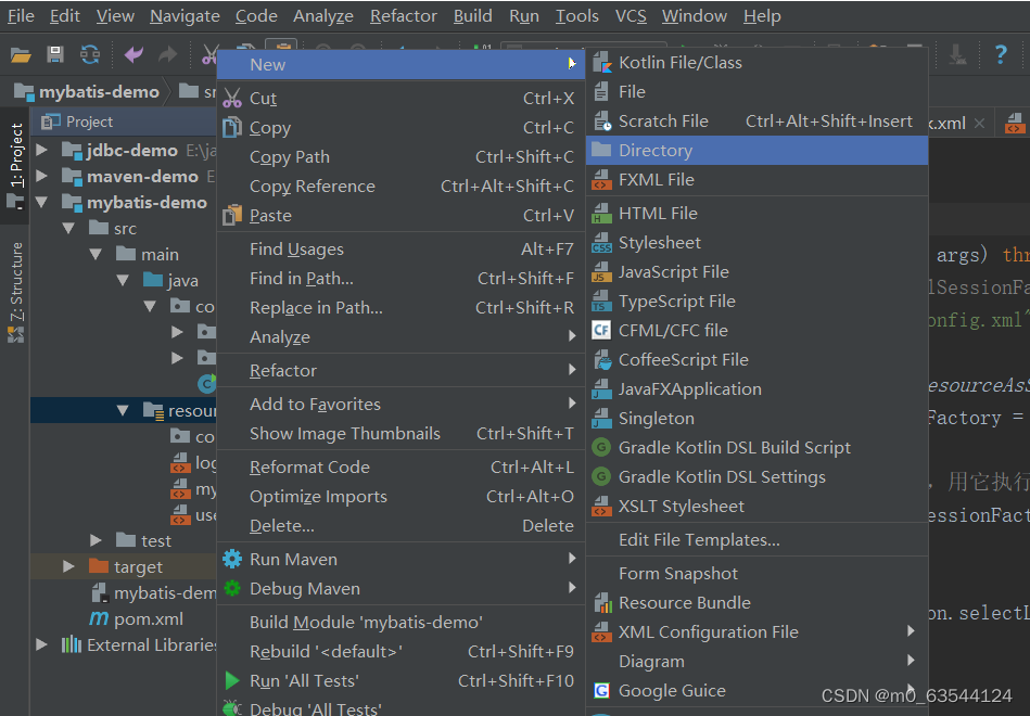 JavaWeb——MyBatis（Mapper代理开发）_mapper.java-CSDN博客