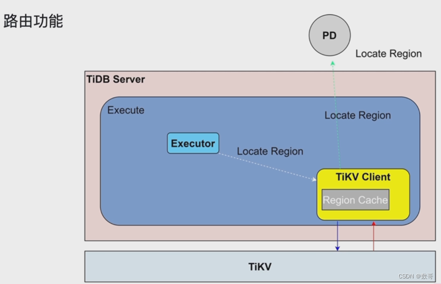 007、体系架构之PD_sql语句中的tso获取一般在解析和编译操作之前完成-CSDN博客