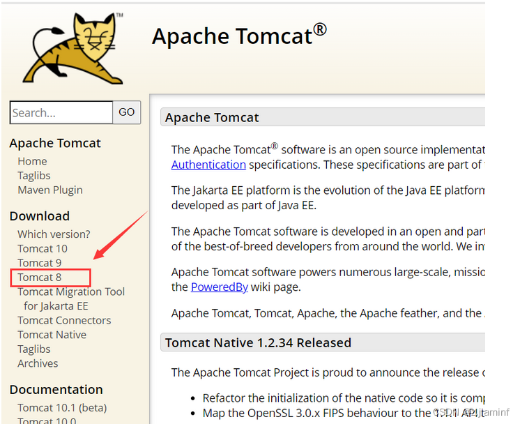 Tomcat安装步骤及详细配置教程_tomcat1.8-CSDN博客