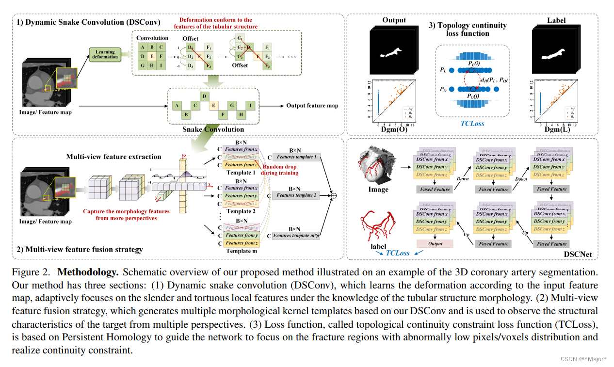 蛇形卷积(Snake Convolution)---DSCNet-CSDN博客