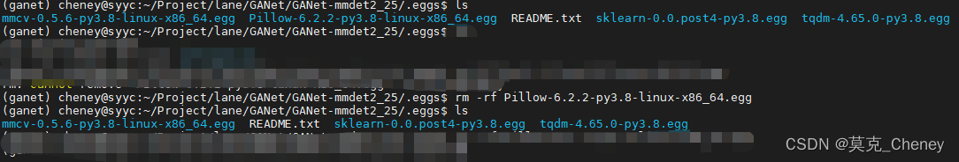 【车道线算法】GANet-车道线检测环境配置一文通关-CSDN博客